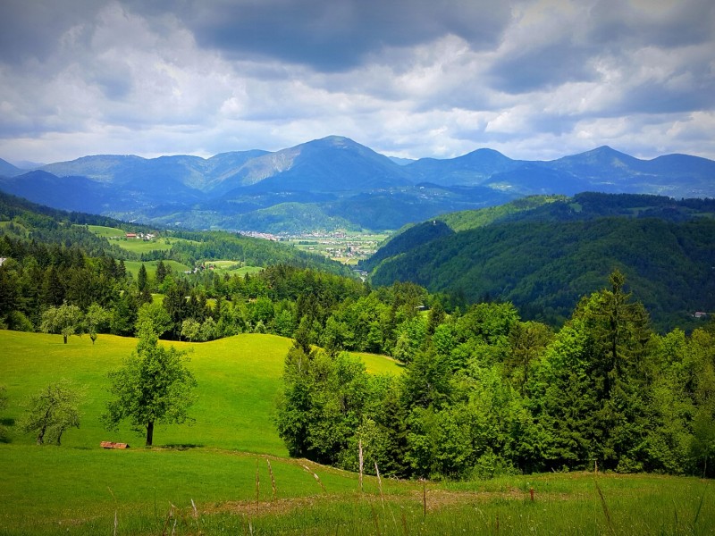 Občina Gorenja vas - Poljane - Obrazci in vloge